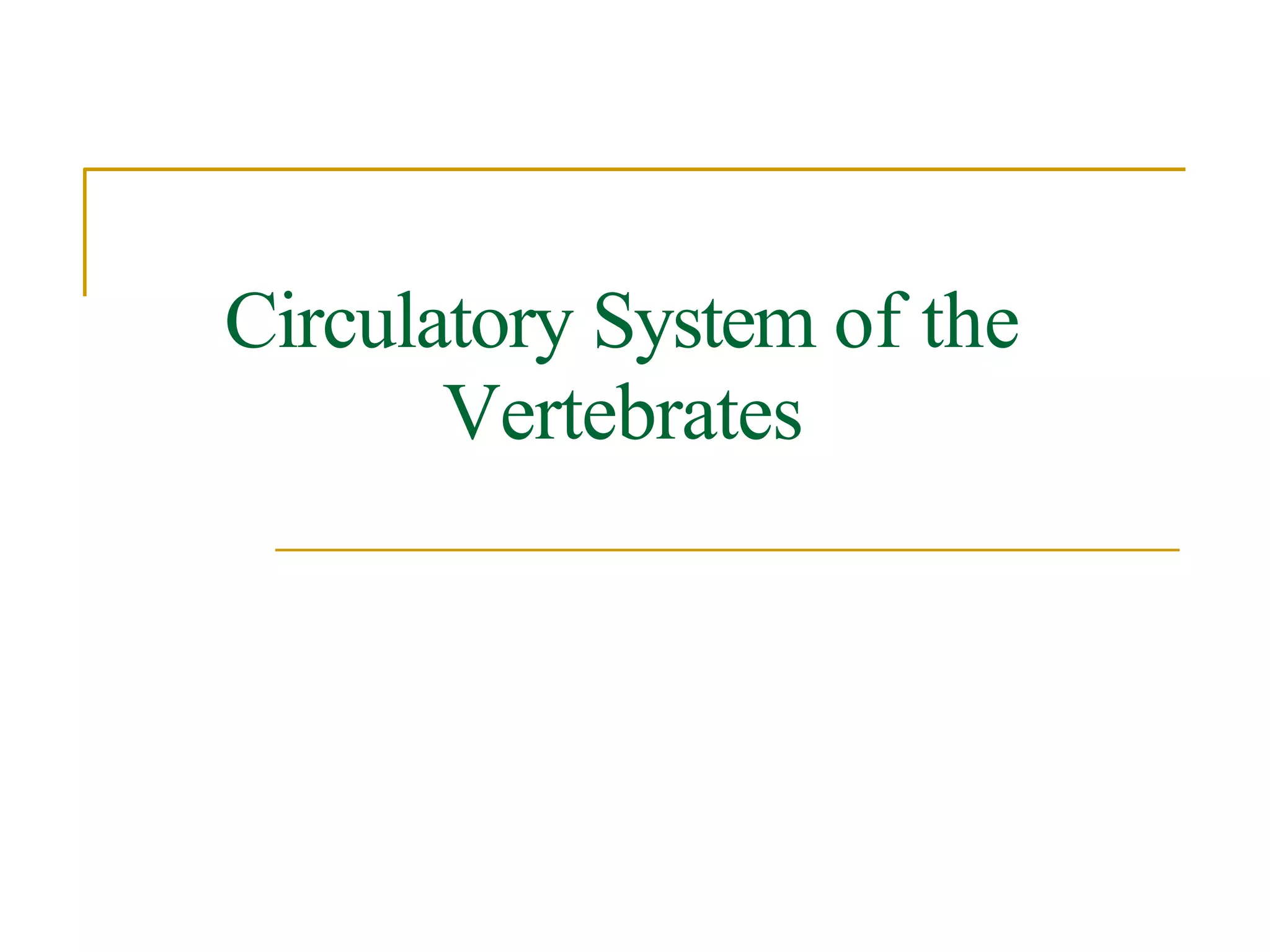 circulatory-system-of-the-vertebrates.pptx