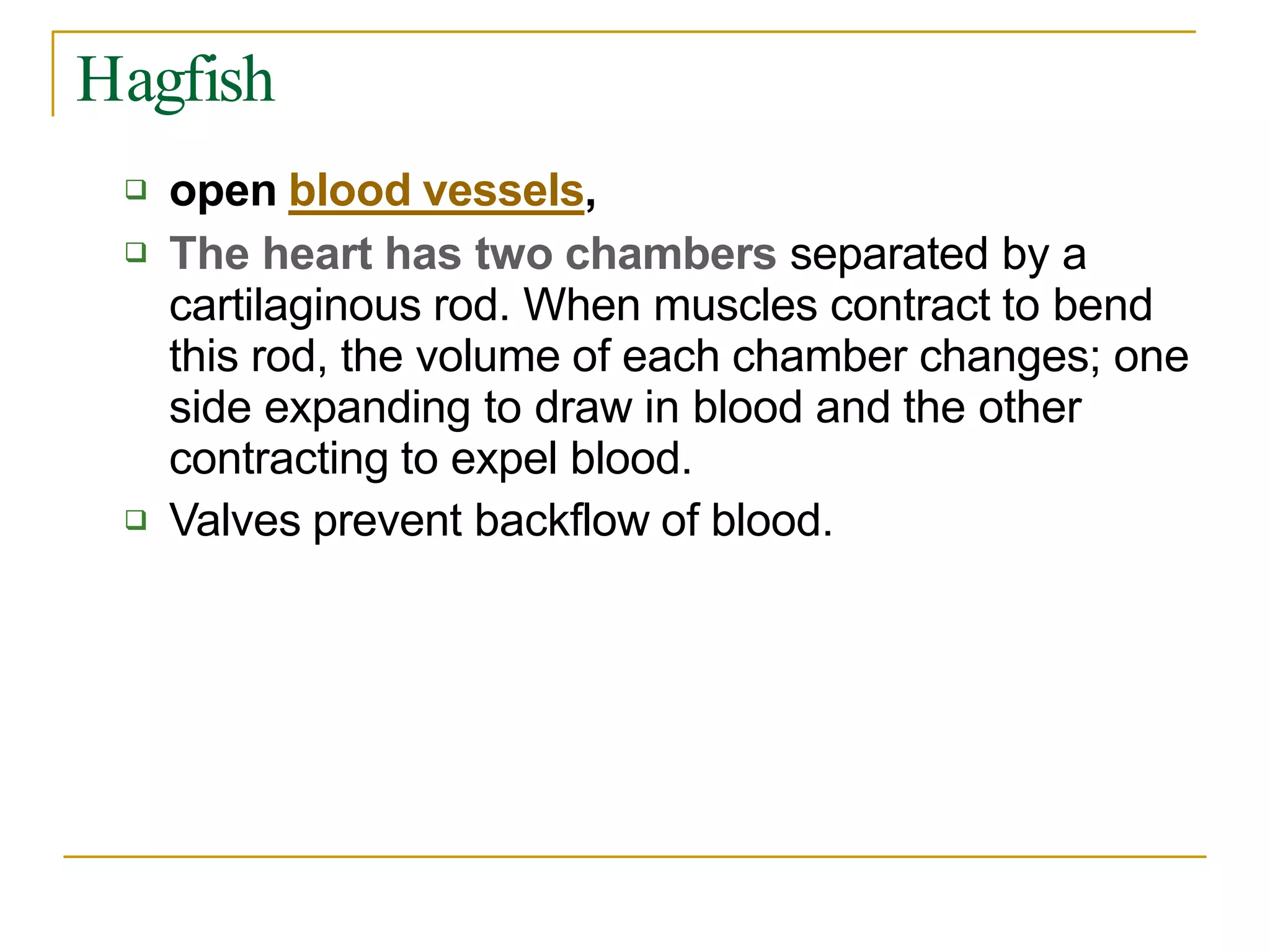 circulatory-system-of-the-vertebrates.pptx