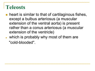 circulatory-system-of-the-vertebrates.pptx