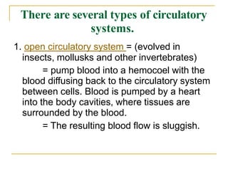 circulatory-system-of-the-vertebrates.pptx