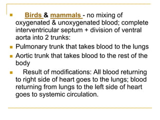 circulatory-system-of-the-vertebrates.pptx
