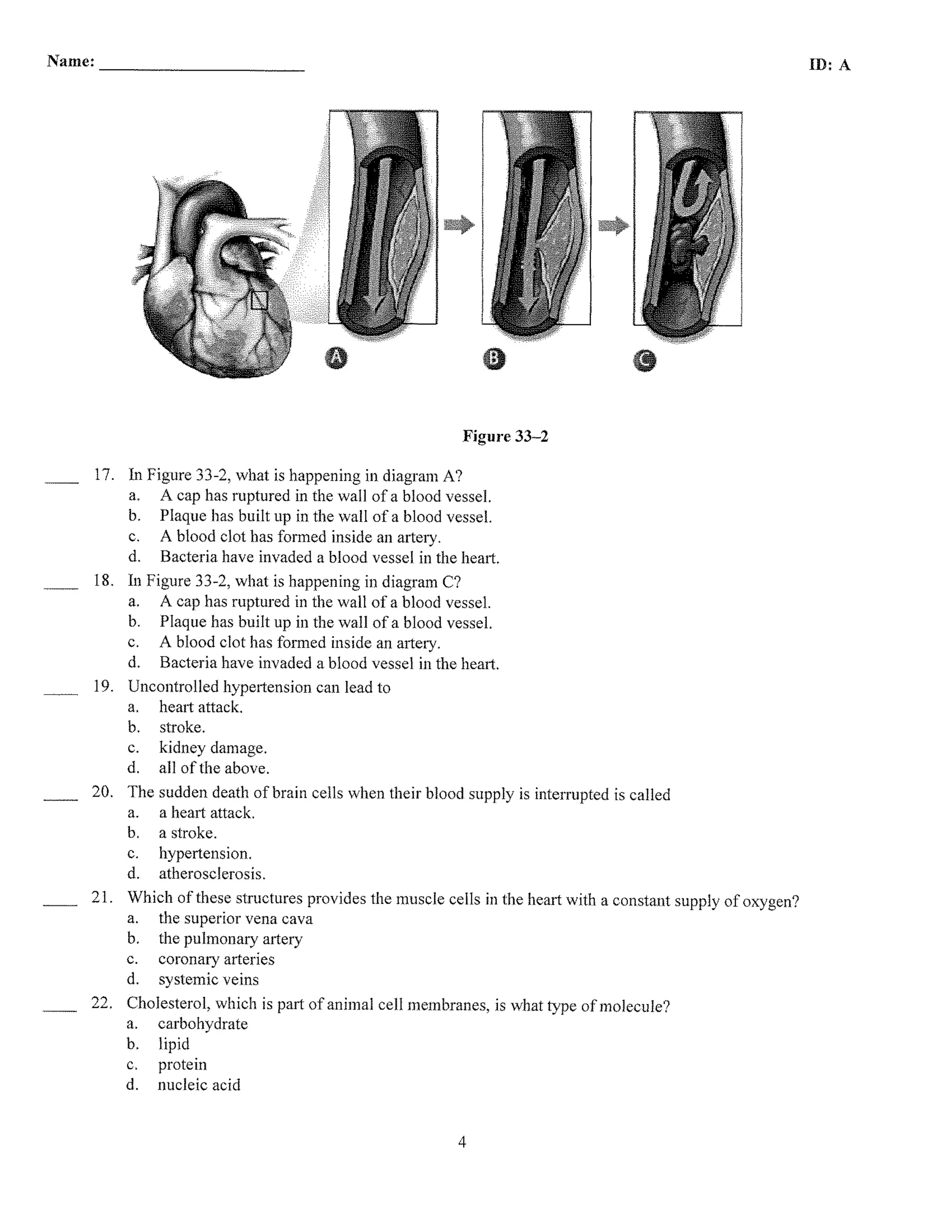 Circulatory-System-Practice-Questions.pdf