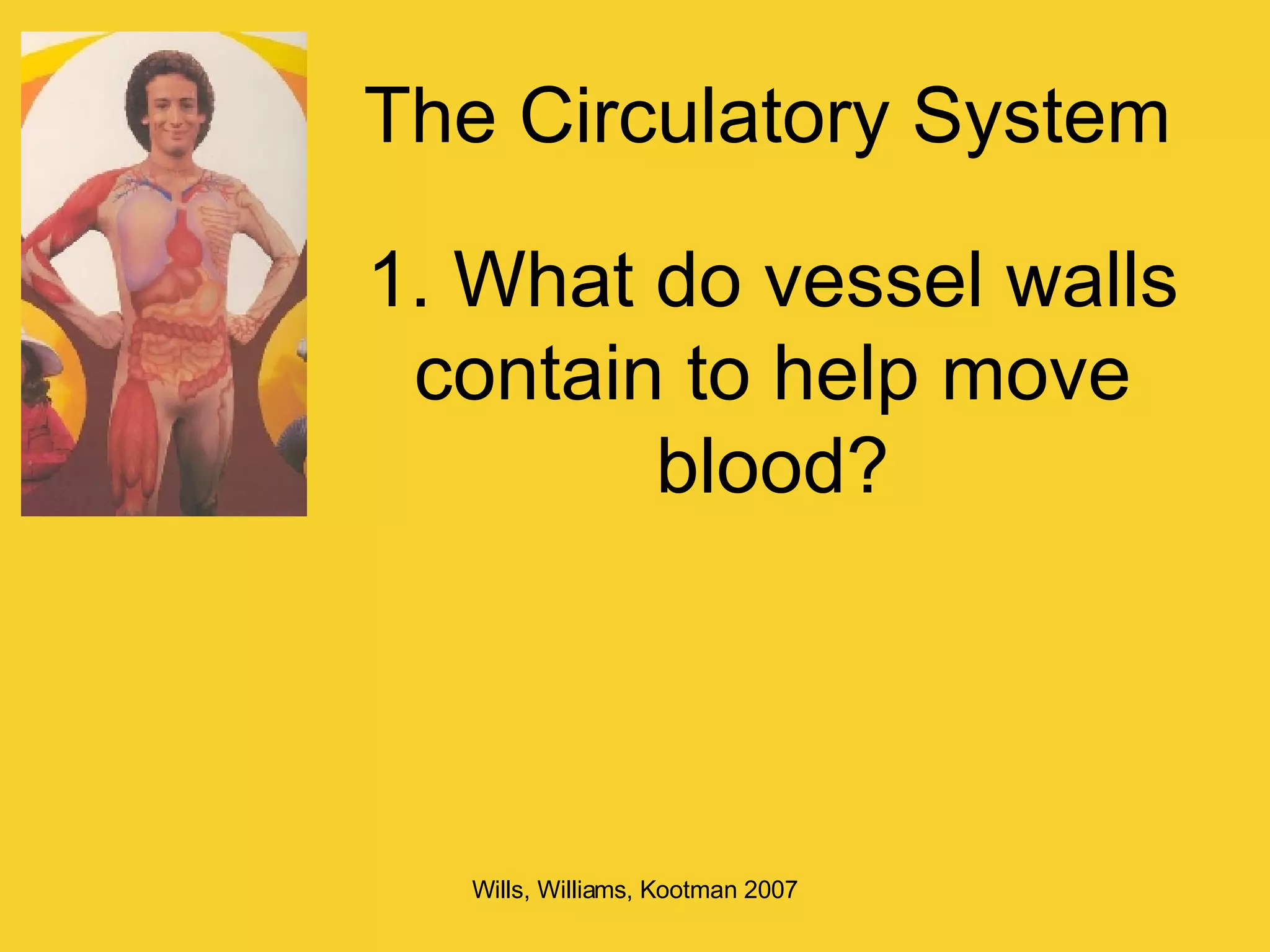 Circulatory System Quiz | PPT