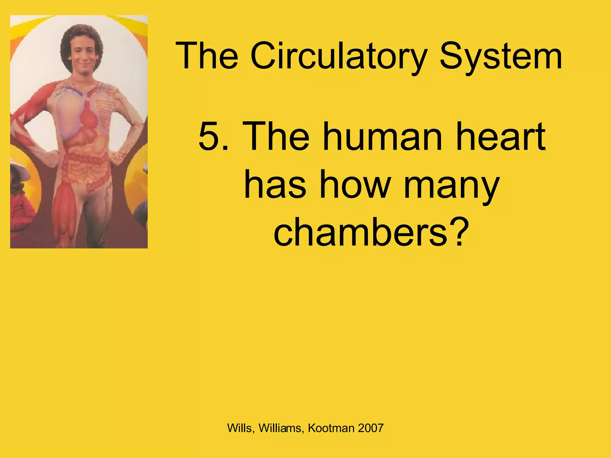 Circulatory System Quiz | PPT