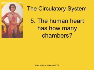 Circulatory System Quiz | PPT