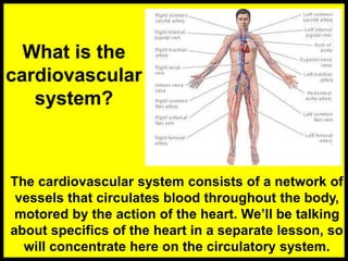 Circulatory-System-STEM.ppt
