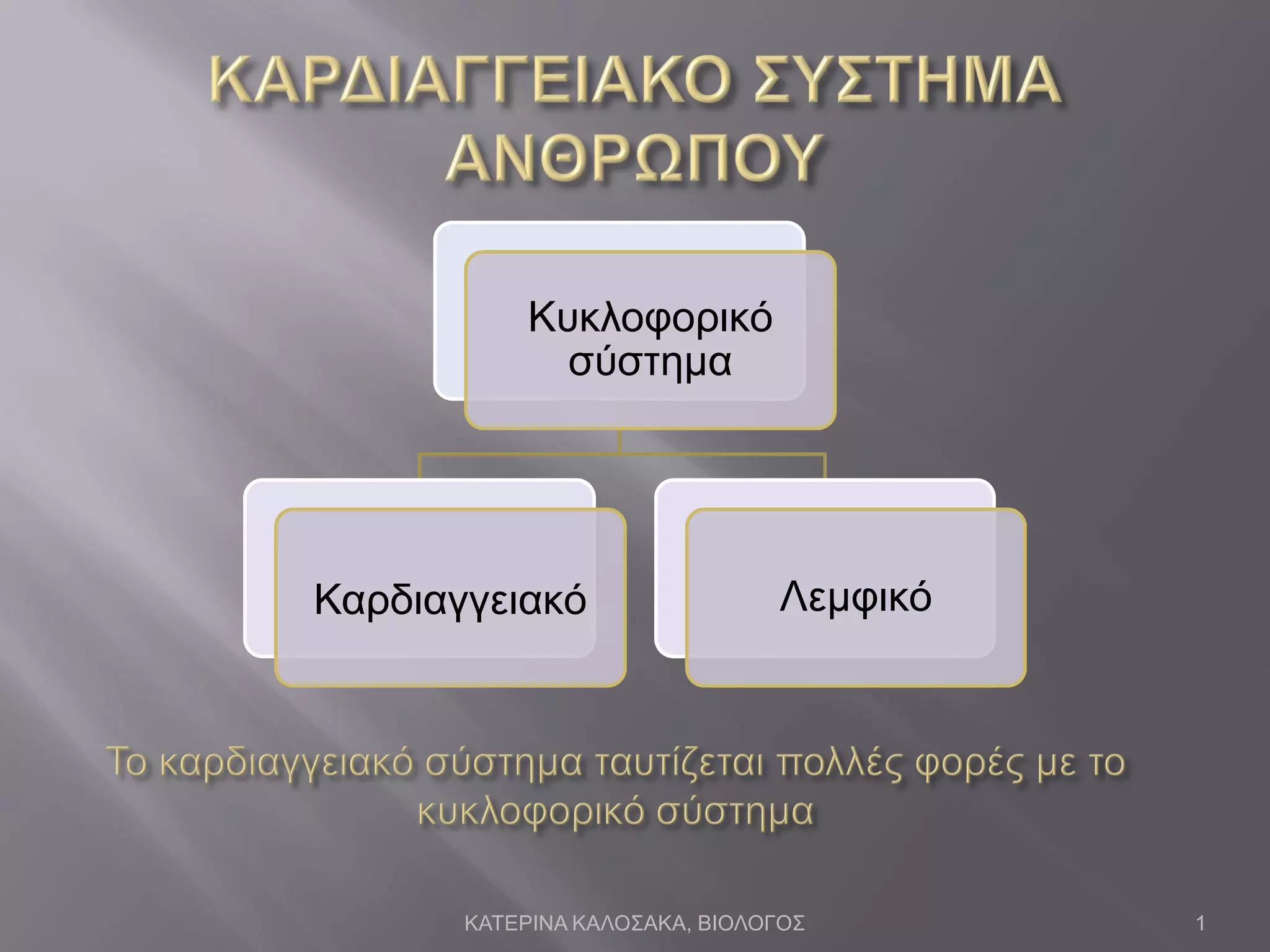 ΚΥΚΛΟΦΟΡΙΚΟ ΣΥΣΤΗΜΑ | PDF