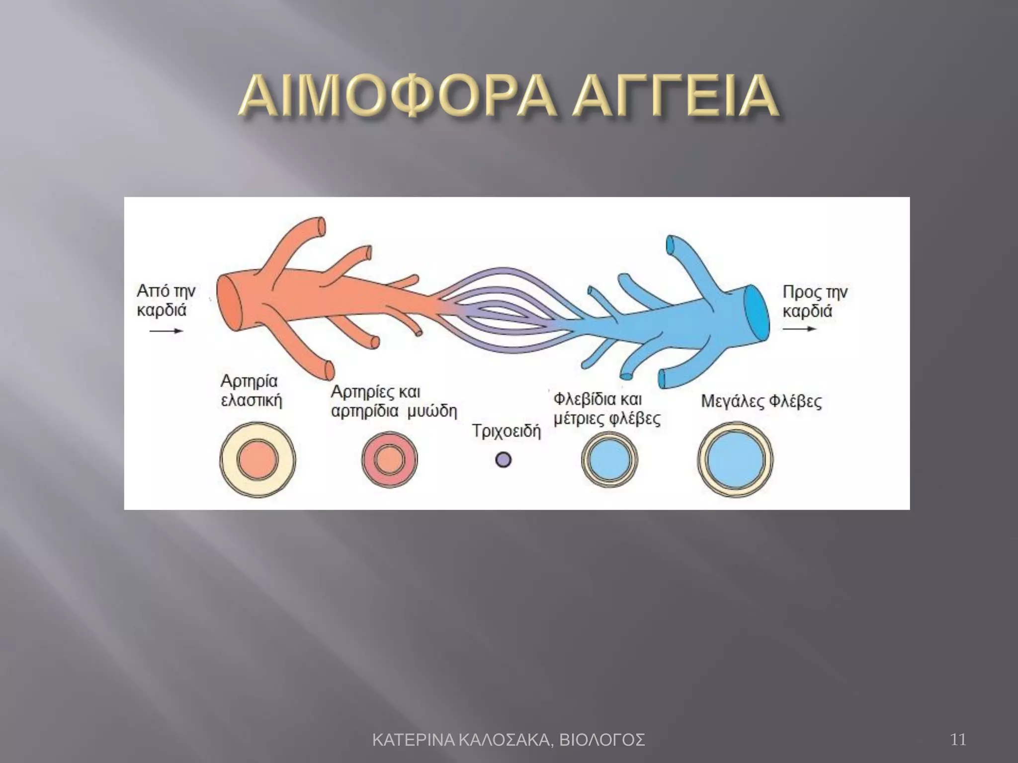 ΚΥΚΛΟΦΟΡΙΚΟ ΣΥΣΤΗΜΑ | PDF