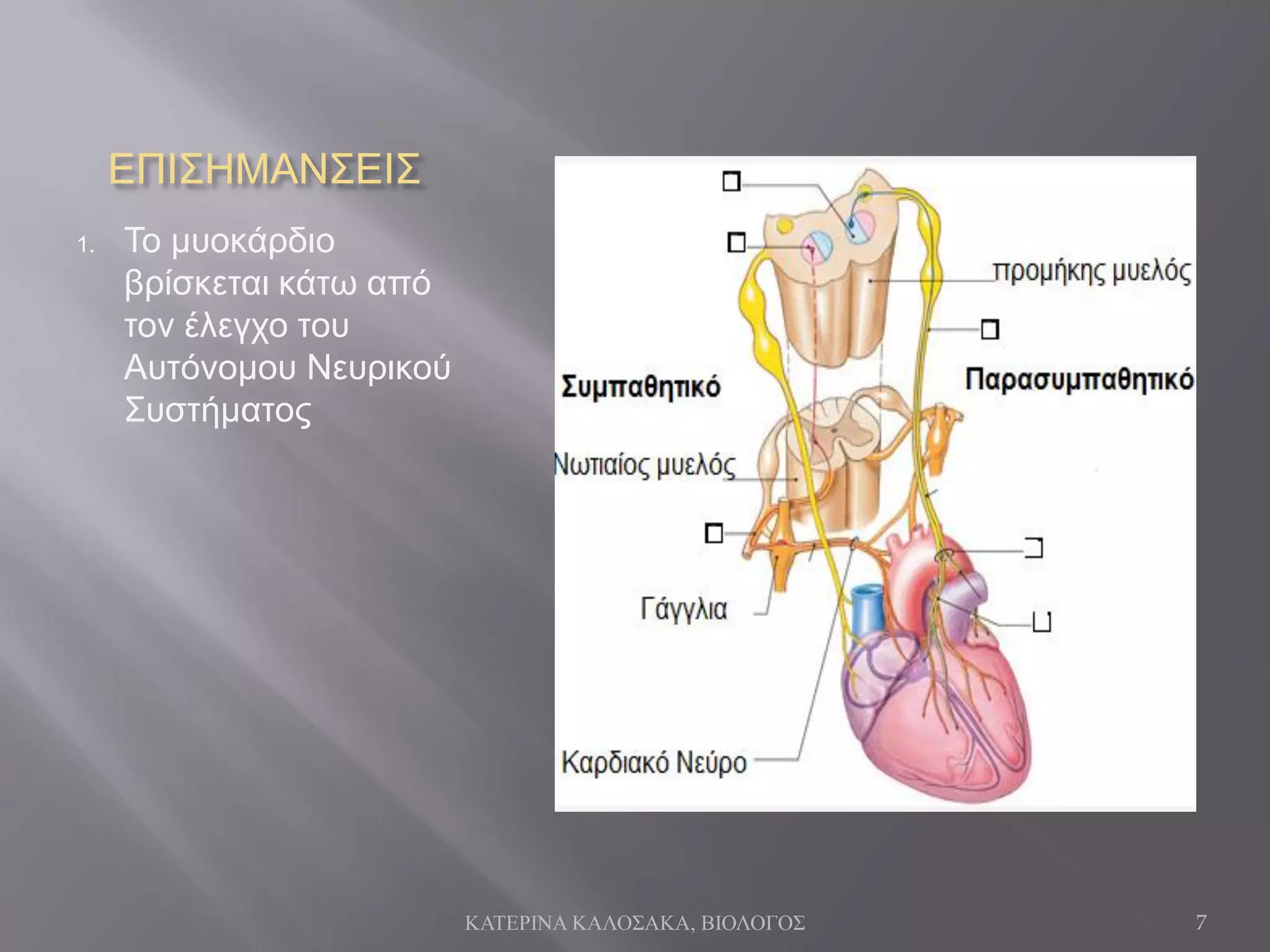 ΚΥΚΛΟΦΟΡΙΚΟ ΣΥΣΤΗΜΑ | PDF