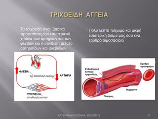 ΚΥΚΛΟΦΟΡΙΚΟ ΣΥΣΤΗΜΑ | PDF