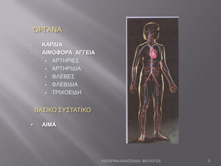 ΚΥΚΛΟΦΟΡΙΚΟ ΣΥΣΤΗΜΑ | PDF