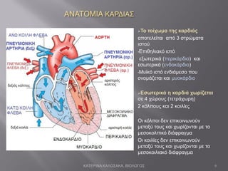 ΚΥΚΛΟΦΟΡΙΚΟ ΣΥΣΤΗΜΑ | PDF