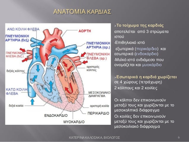 ΚΥΚΛΟΦΟΡΙΚΟ ΣΥΣΤΗΜΑ