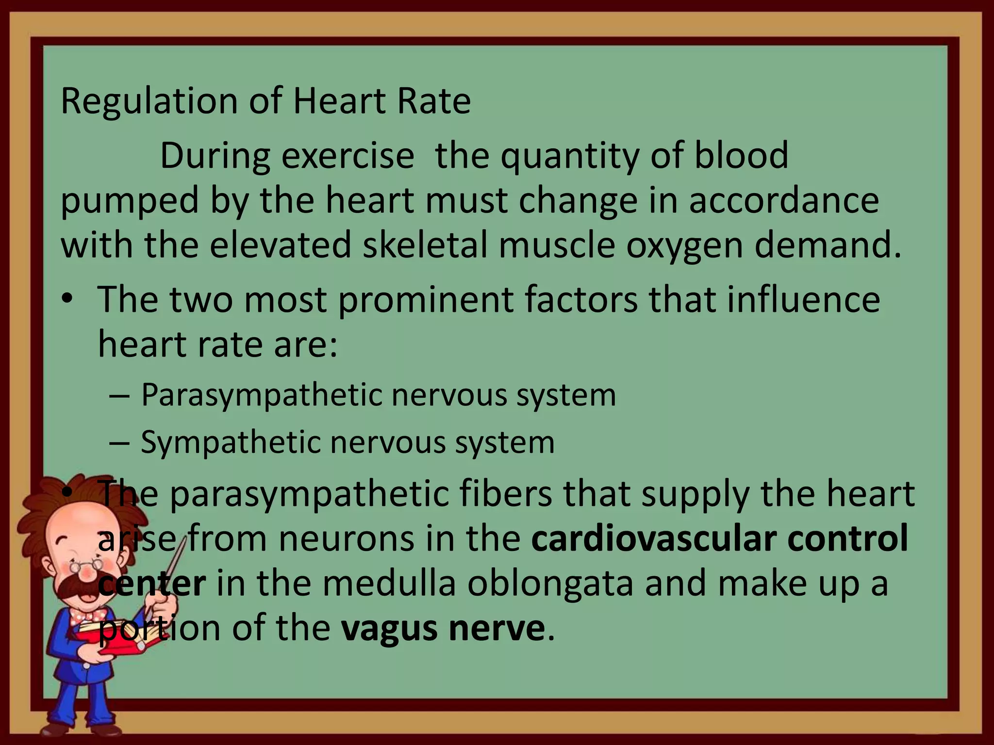 Circulatory Adaptations to Exercise | PPTX