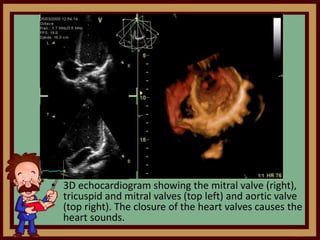 Circulatory Adaptations to Exercise | PPTX