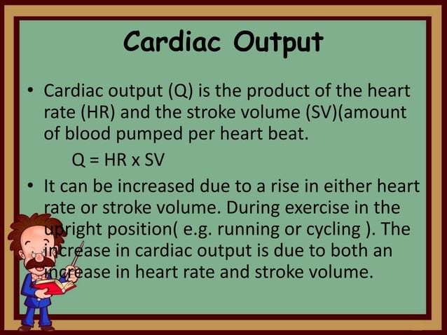 Circulatory Adaptations to Exercise | PPTX