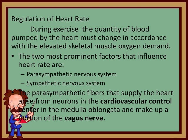 Circulatory Adaptations to Exercise | PPTX