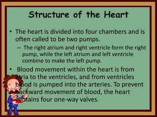 Circulatory Adaptations to Exercise | PPTX