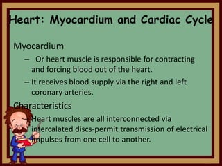 Circulatory Adaptations to Exercise | PPTX