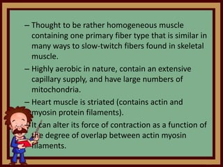 Circulatory Adaptations to Exercise | PPTX
