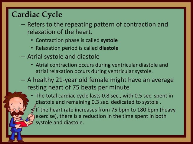 Circulatory Adaptations to Exercise | PPTX