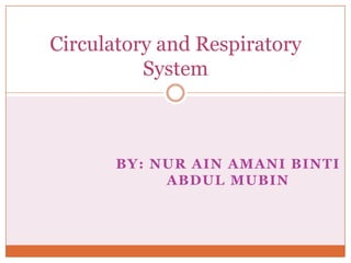 Circulatory and respiratory system | PPT