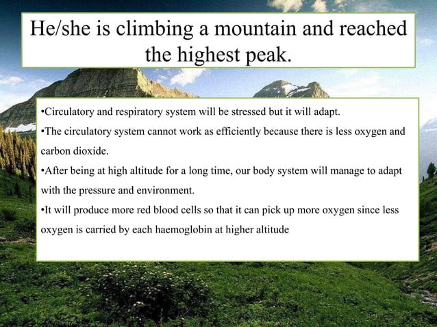 Circulatory and respiratory system changes of a mountain | PPT
