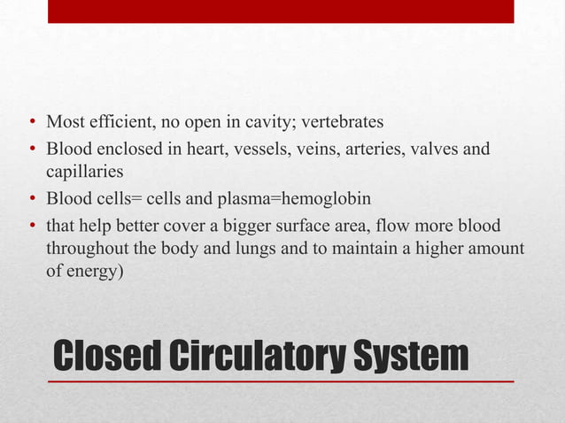 Circulatory and respiratory systems | PPT