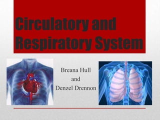 Circulatory and Respiratory Systems | PPTX