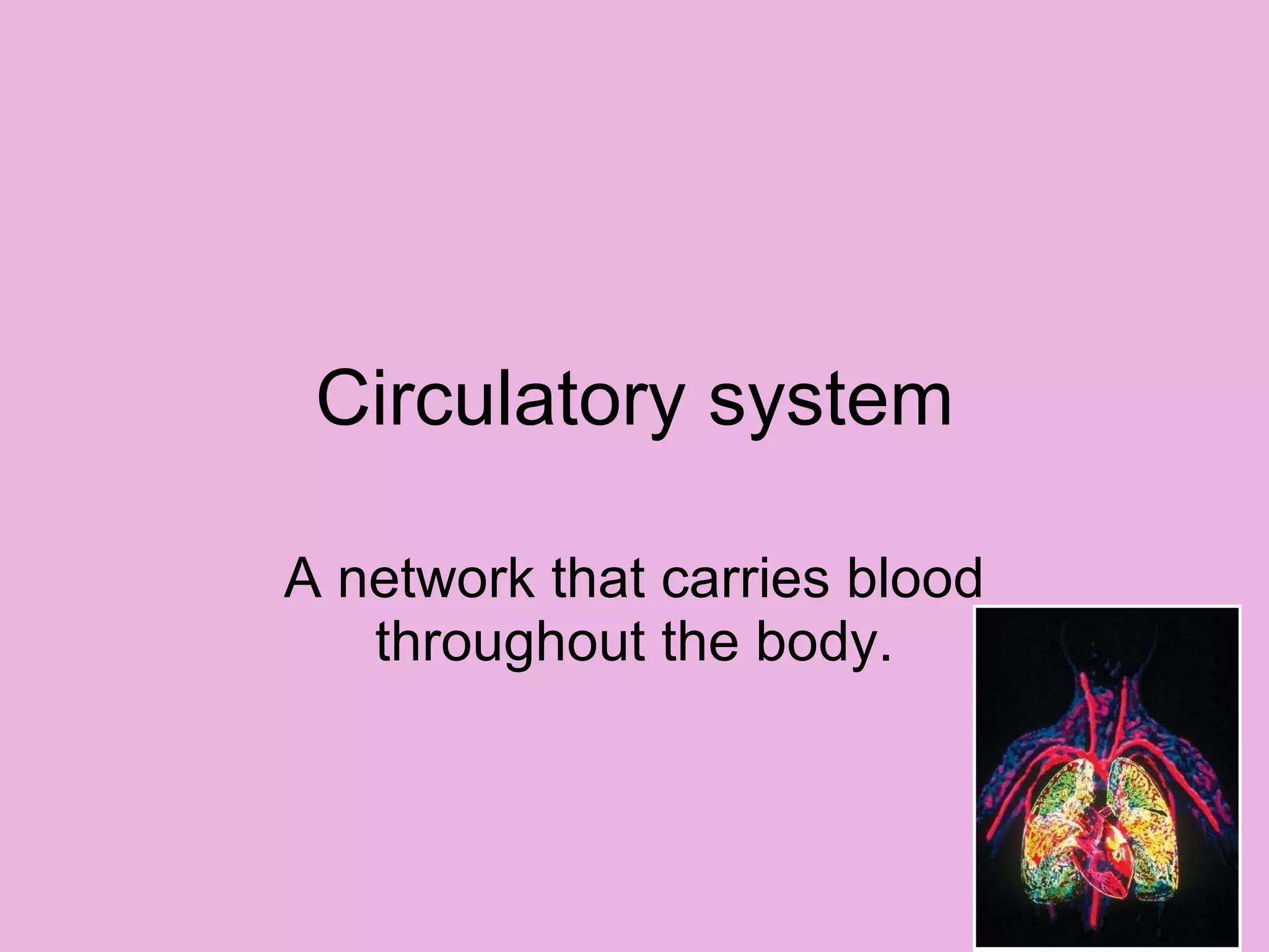 Circulatory & Digestive Systems | PPT