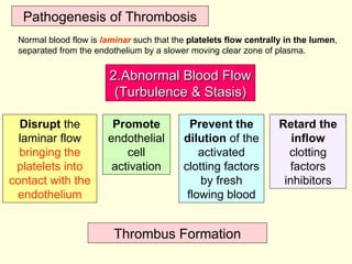 Circulatory disturbances | PPT