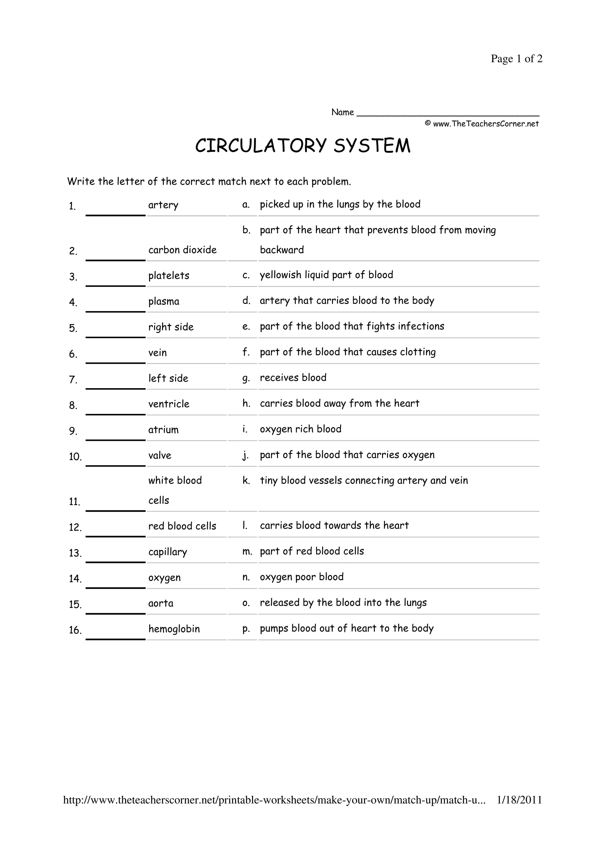 circulatory Match HW.pdf