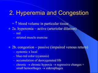 CIRCULATORY PATHOLOGY.ppt