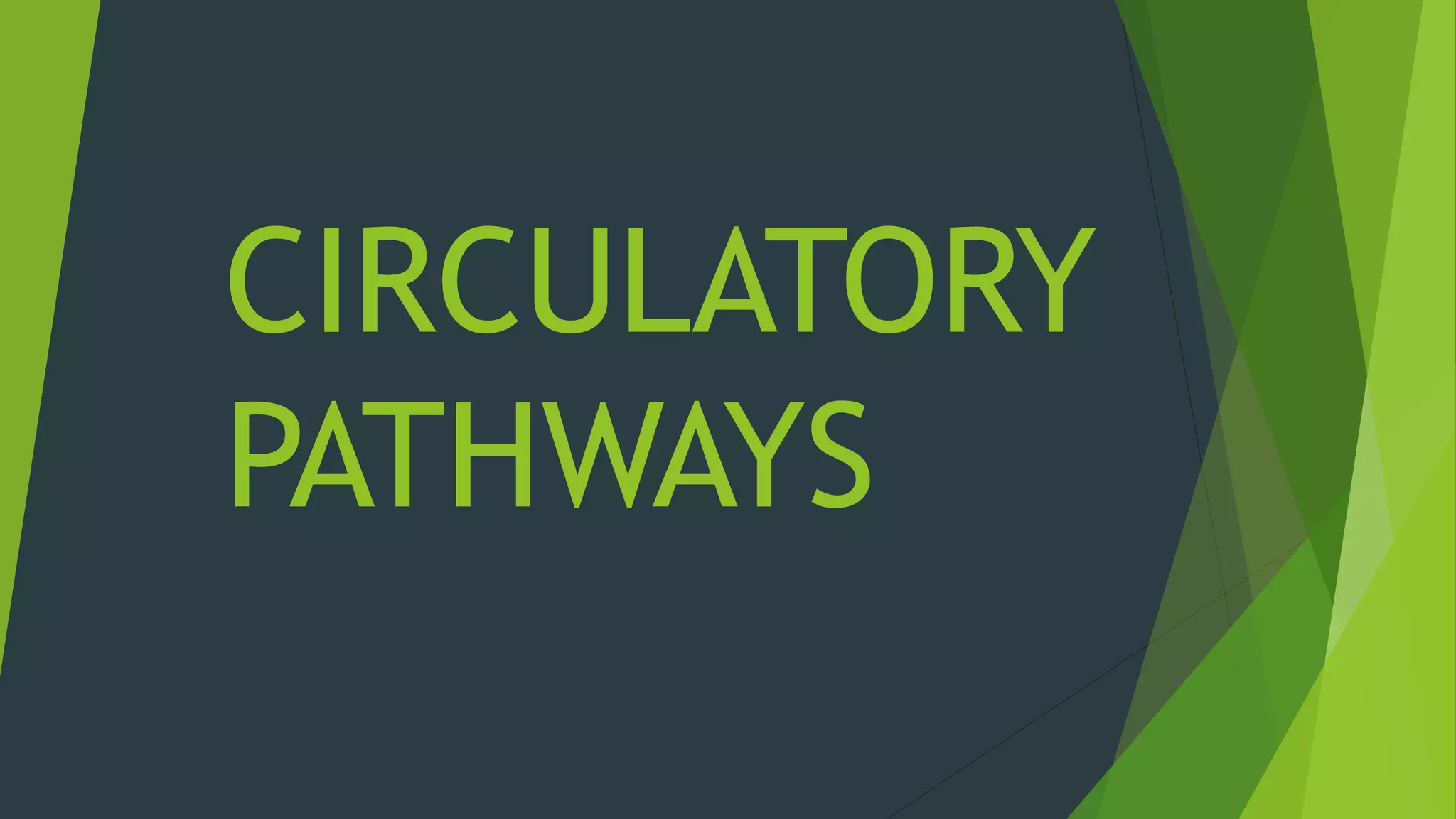 CIRCULATORY PATHWAYS.pptx