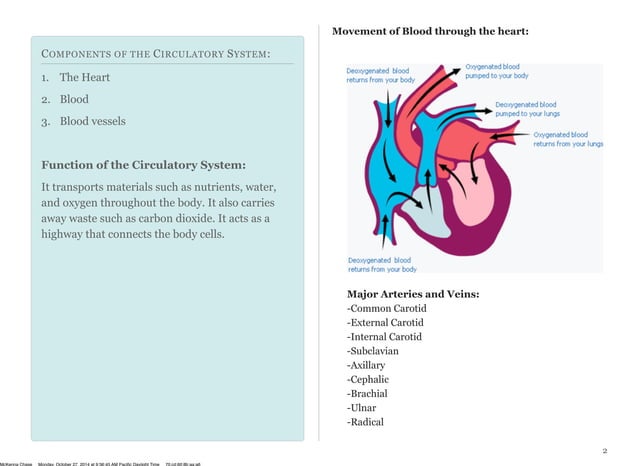 Circulatory research | PDF