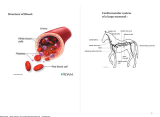 Circulatory research | PDF