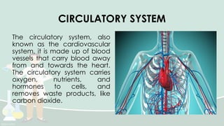 CIRCULATORY AND RESPIRATORY SYSTEM .pptx