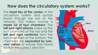 CIRCULATORY AND RESPIRATORY SYSTEM .pptx