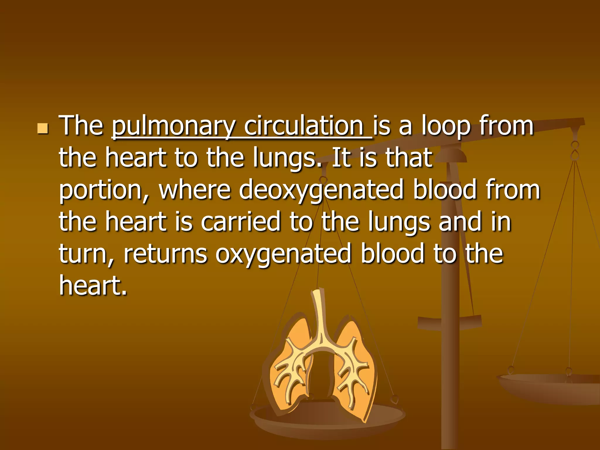 Circulatory & respiratory systems | PPTX