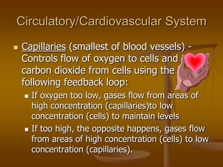 Circulatory & respiratory systems | PPTX