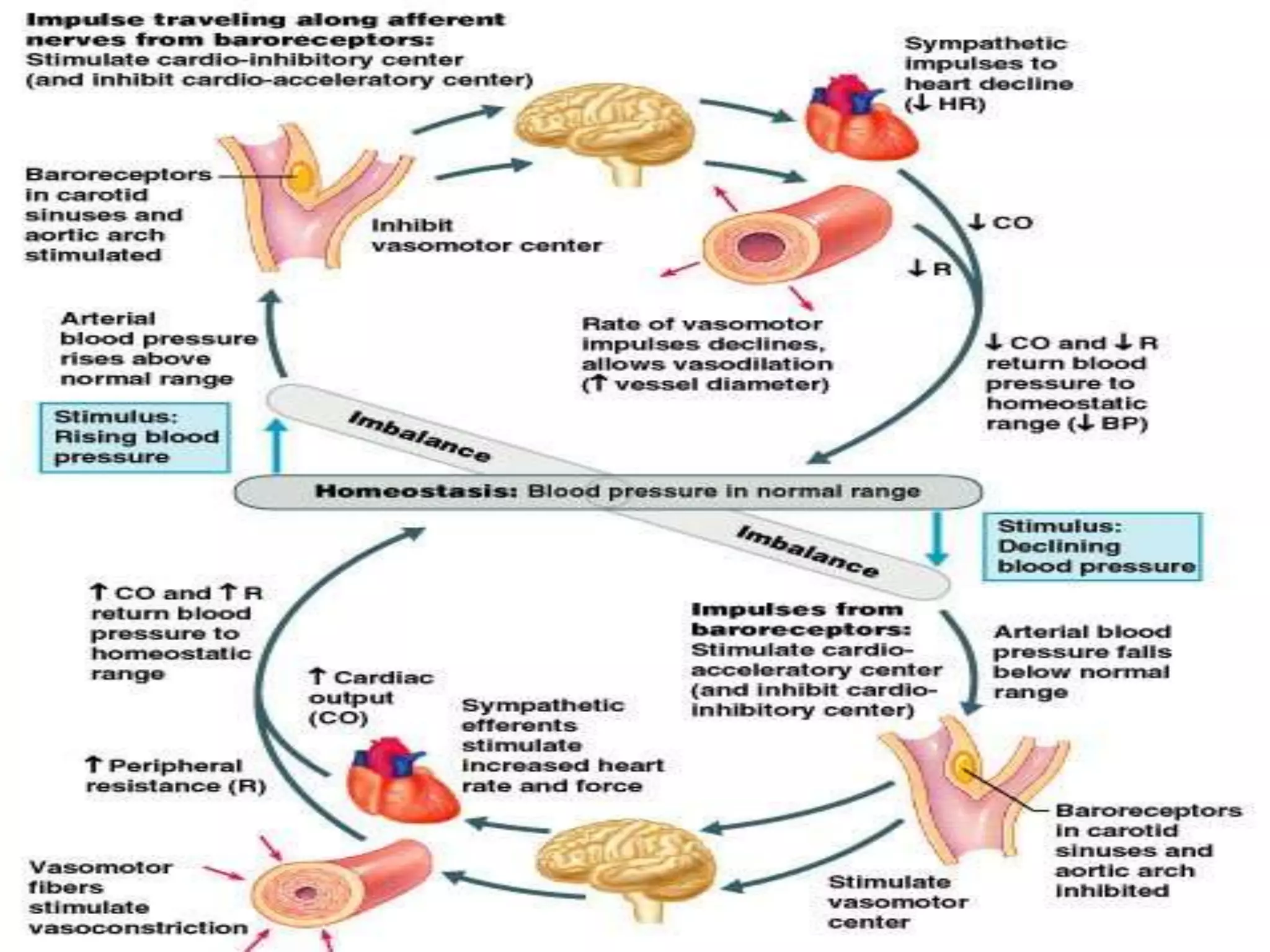 Circulatory shock | PPTX
