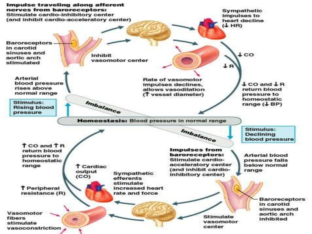 Circulatory shock