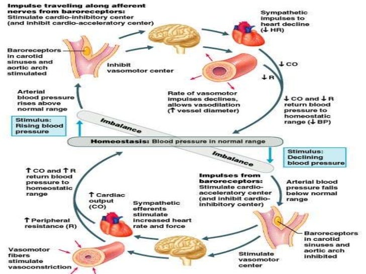 Circulatory shock