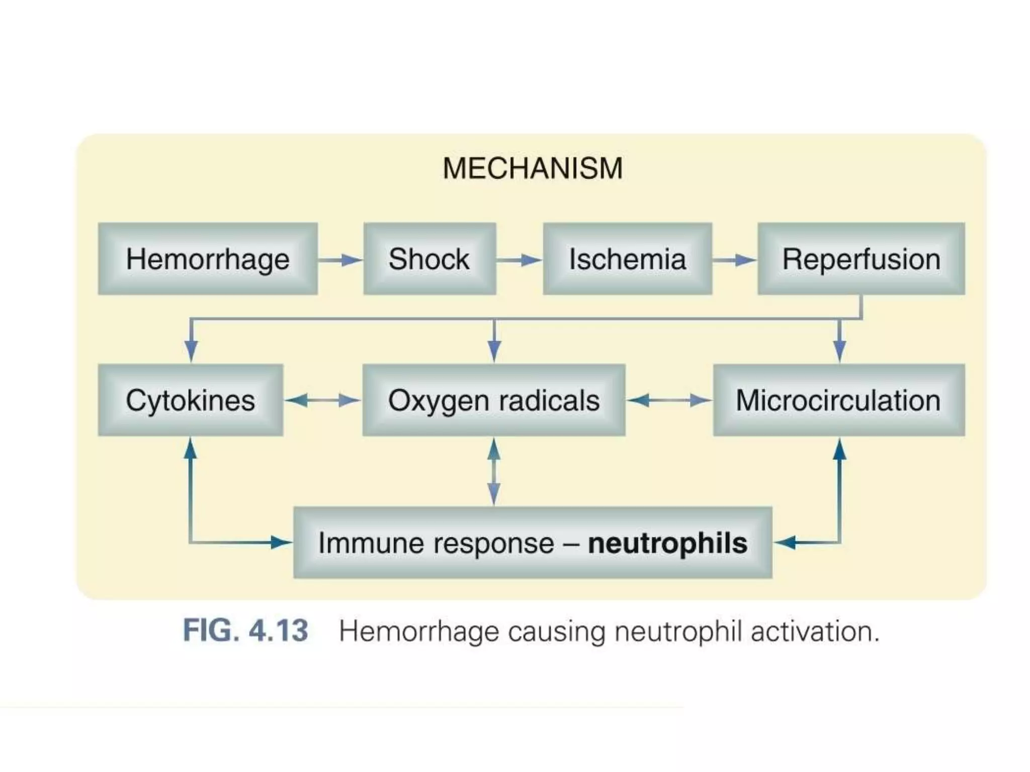 circulatory shock.pptx
