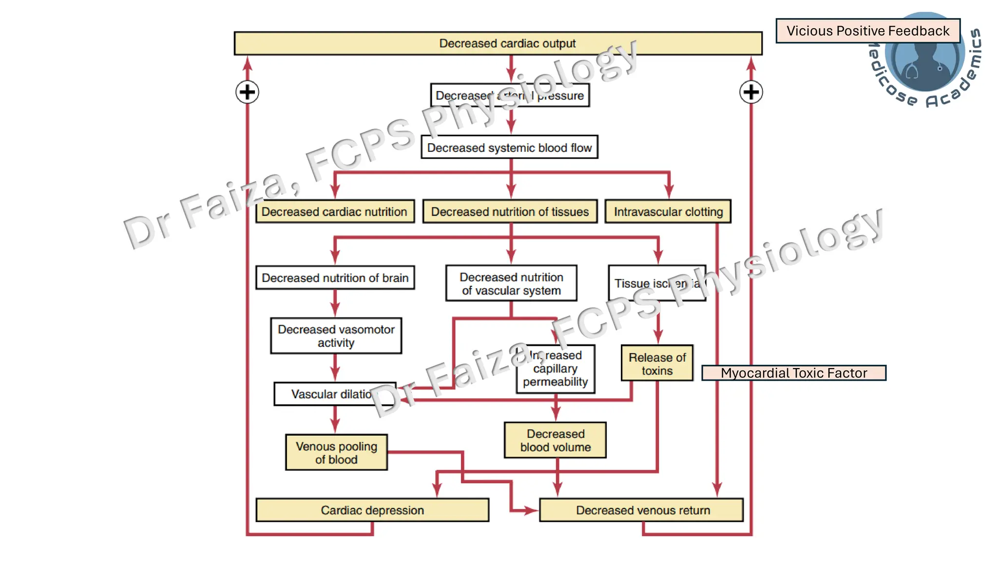 Circulatory Shock, types and stages, compensatory mechanisms | PDF