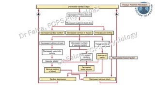 Circulatory Shock, types and stages, compensatory mechanisms | PDF