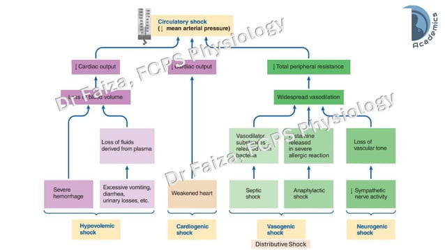 Circulatory Shock, types and stages, compensatory mechanisms | PPT