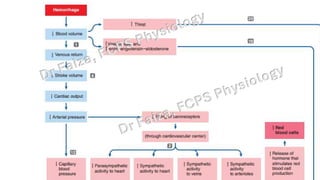 Circulatory Shock, types and stages, compensatory mechanisms | PDF