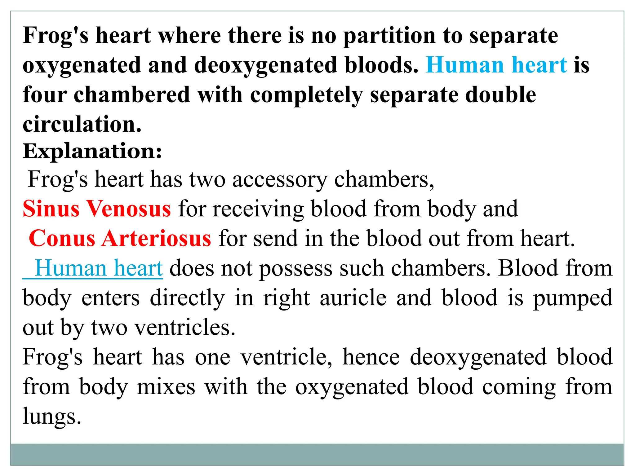 Circulatory Syatem - Frog 1.pptx