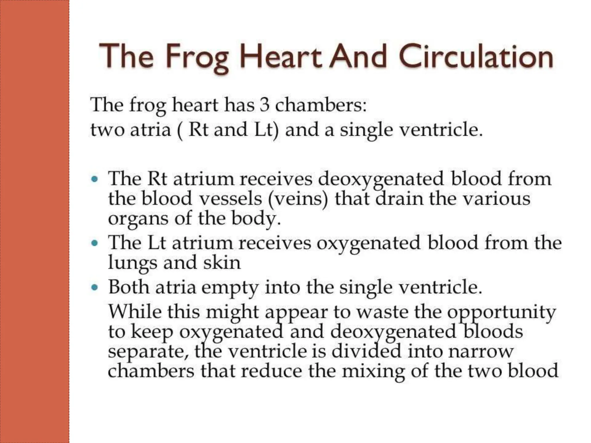 Circulatory Syatem - Frog 1.pptx